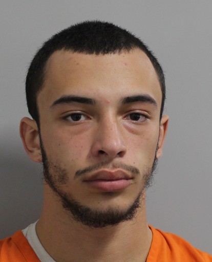 WILL FERNANDEZ booked for 250.00