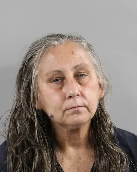LISA POWELL booked for