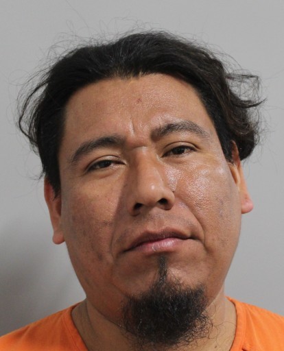 NEREO PEREZ booked for