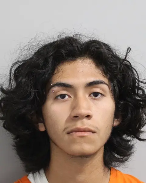 KALEL ROCHA-GARCIA booked for 250.00