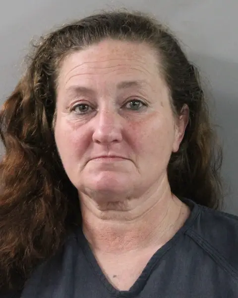 LISA JOHNSON booked for 5000.00