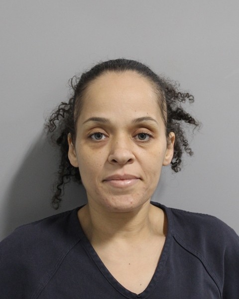 MICHELLE LEE booked for