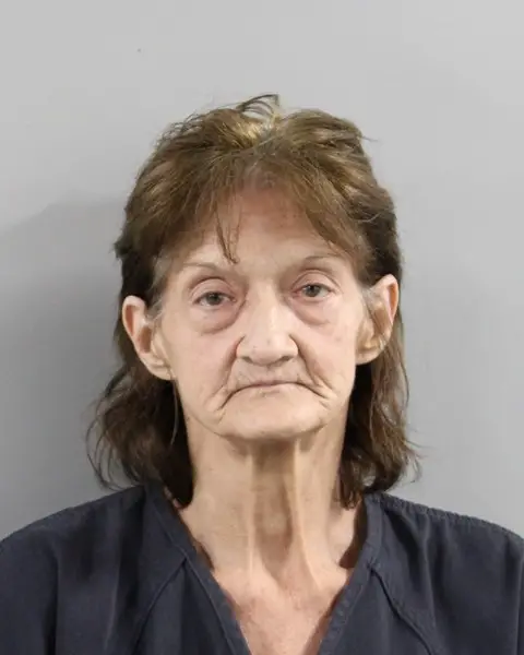 TRACY WILSON booked for 0.00