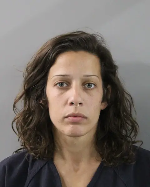 ARIEL STEIN booked for 0.00