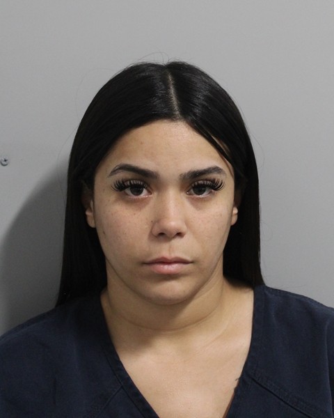KARLA ORTIZ-RODRIGUEZ booked for