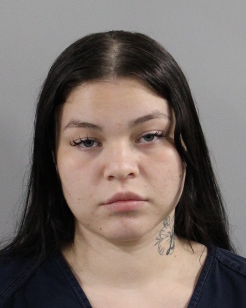 LILY OLIVO booked for 1000.00