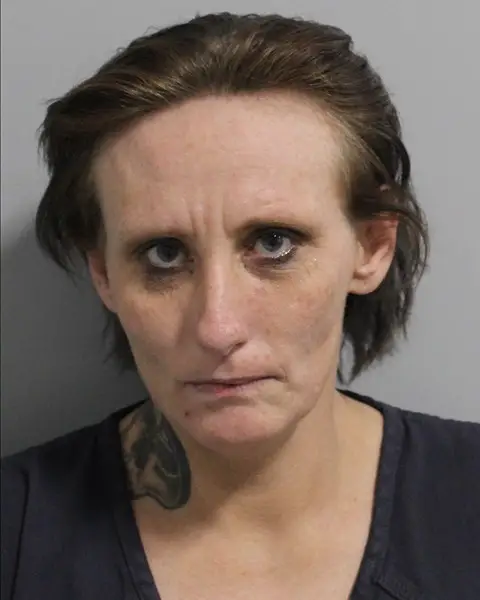 LISA JOHNSON booked for 250.00