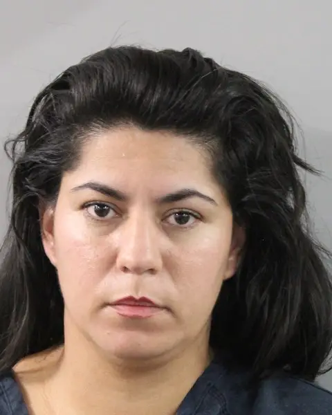 YOLANDA DIAZ-CANTOR booked for