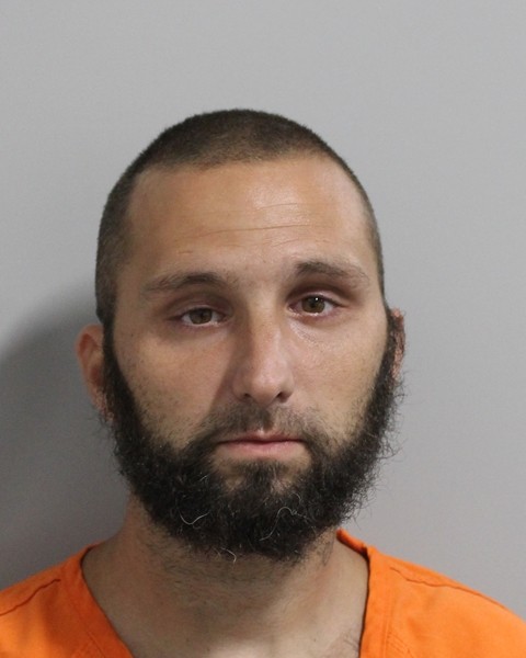 PHILLIP VITELLI booked for