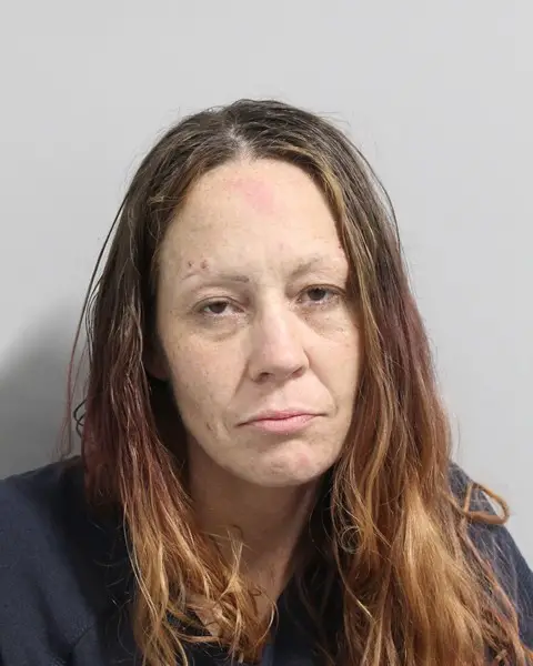 RACHEL PEREZ booked for