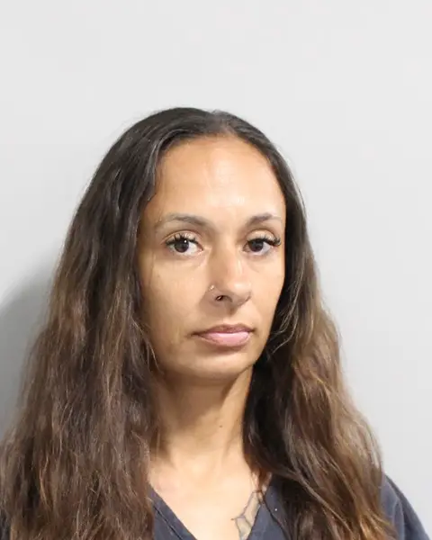 ERICA HUERTAS booked for 250.00