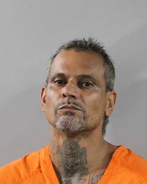 MIRRAIN LOUBRIEL booked for