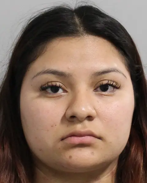 ANA RAMIREZ-HERNANDEZ booked for 500.00