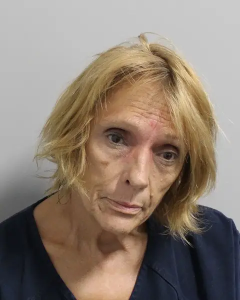 DIANE LACKEY booked for