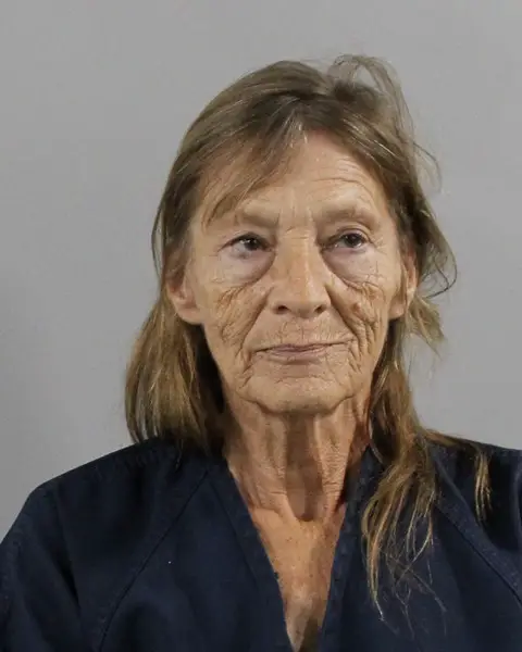 ELLEN ZANNINI booked for