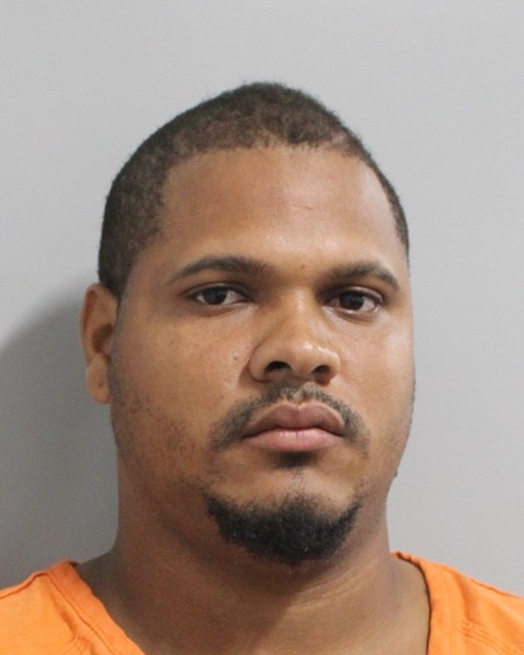 JOHANGEL MEJIA booked for 250.00