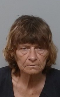 LISA REGAN booked for