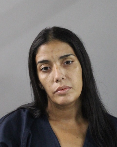 NATASHA RODRIGUEZ booked for