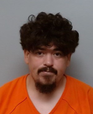 SAMUEL PEREZ booked for