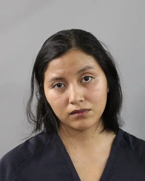ARELY ALVA-CANO booked for 250.00