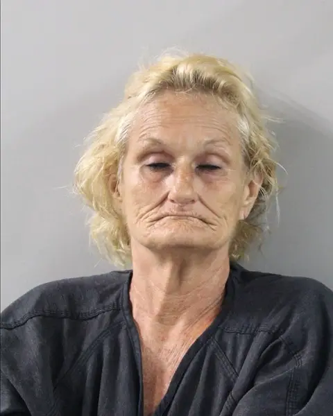 DENA FREEMAN booked for 1000.00