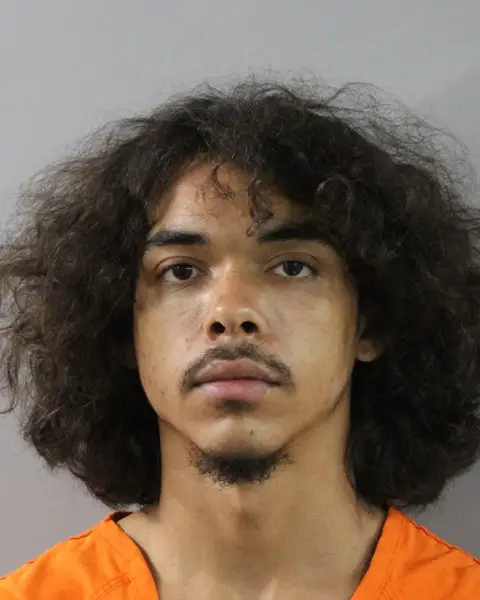 ORLANDO CANO booked for 250.00