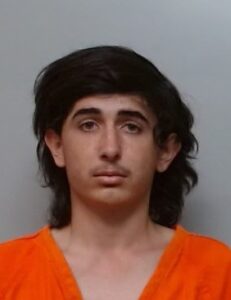 TRISTIN JOHNSON booked for