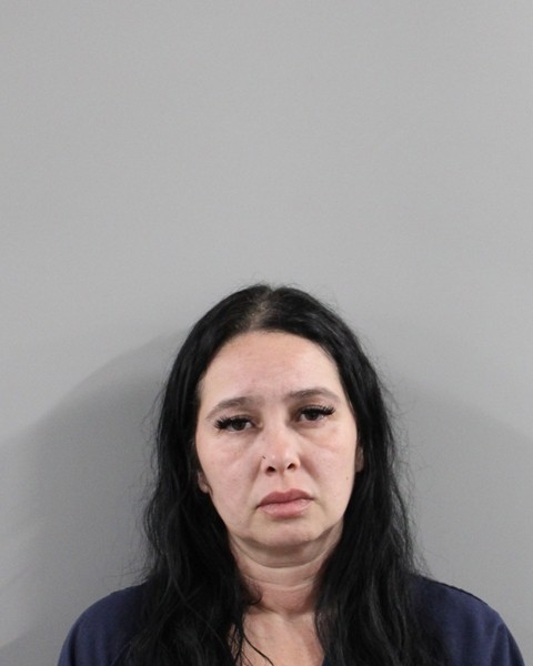 AMANDA SANTOS booked for