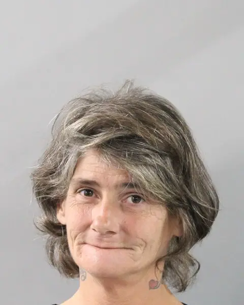 BRANDY SCHNEIDER booked for