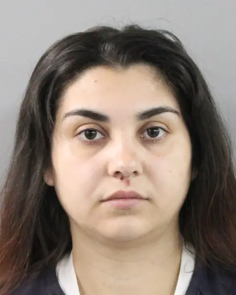 ELENA MICLESCU booked for