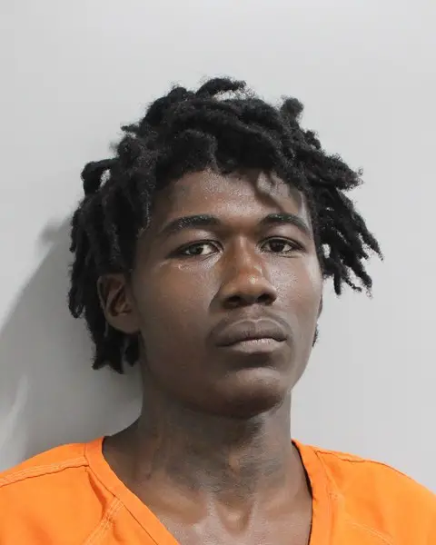 JORDAN JOHNSON booked for