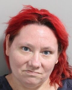 LESLIE STEELE booked for