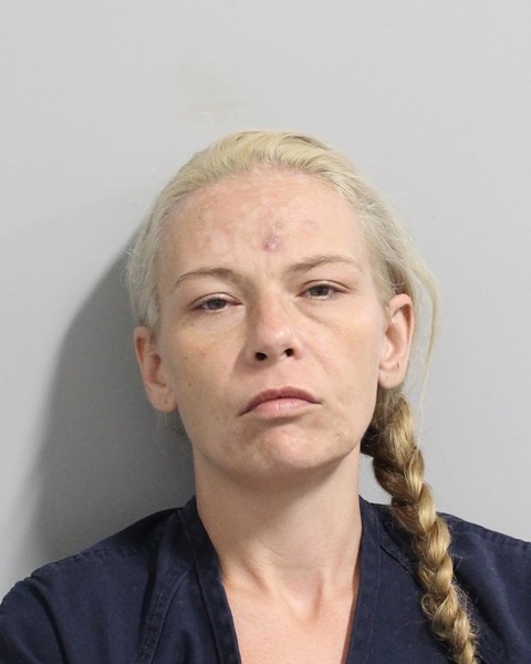 LISA FERRELL booked for 5000.00