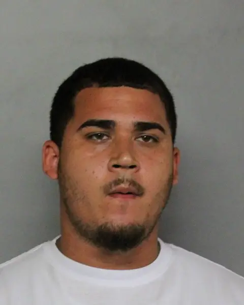 LOUIS RODRIGUEZ booked for