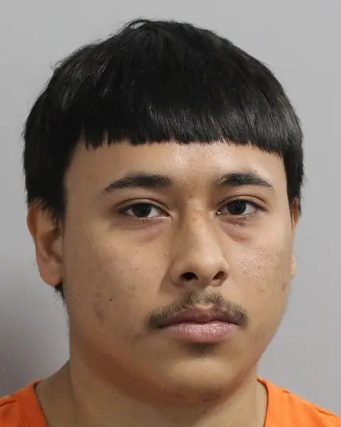 LUIS ALONZO booked for