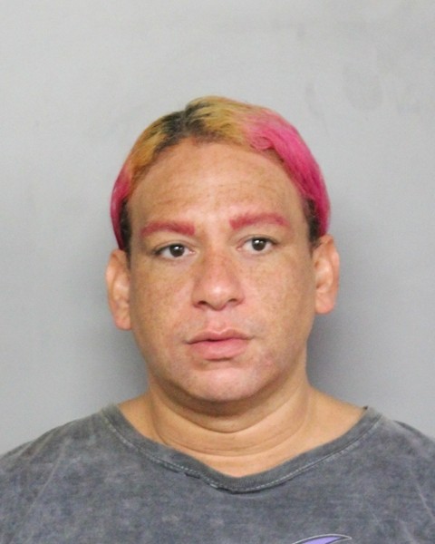 REYNALDO VALENTIN-DIAZ booked for 0.00