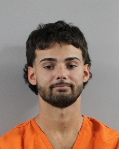 AUSTIN LEWIS booked for 0.00