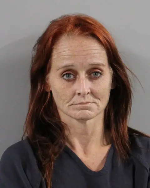 CRYSTAL JOHNSON booked for