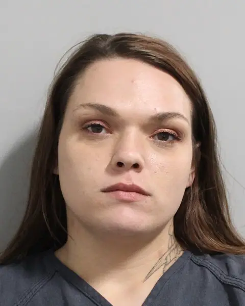 LEXIS HARTZOG booked for 250.00