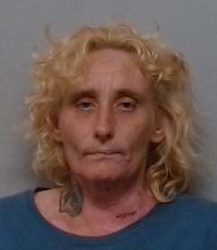 LISA JOHNSON booked for 1000.00