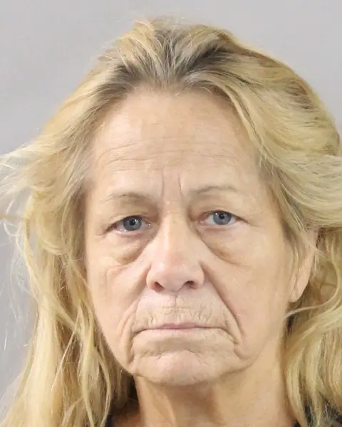 MEGAN JOHNSON booked for