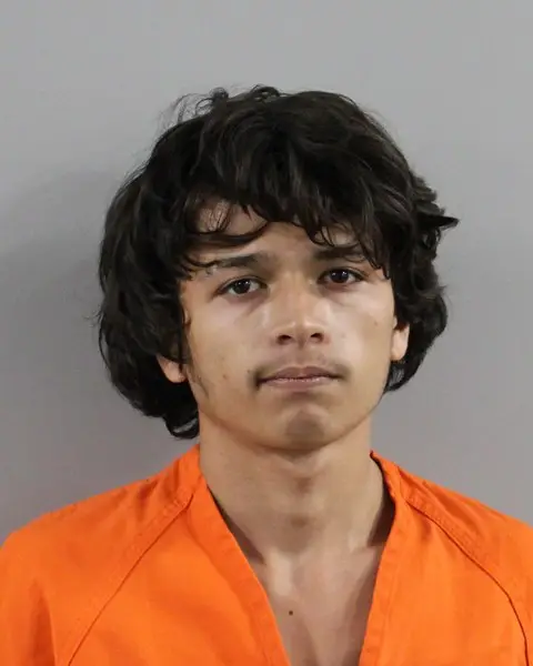 ANGEL DEJESUS booked for