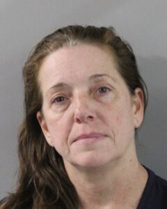 LISA BUSH booked for