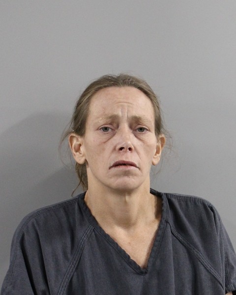 LISA WILSON booked for 1000.00