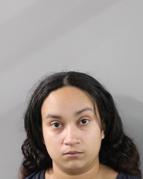 ASHMIL BAEZ booked for 250.00