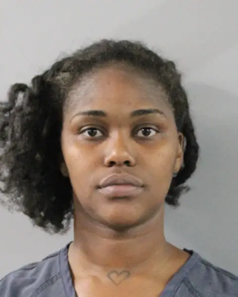 ERICA JOHNSON booked for 0.00