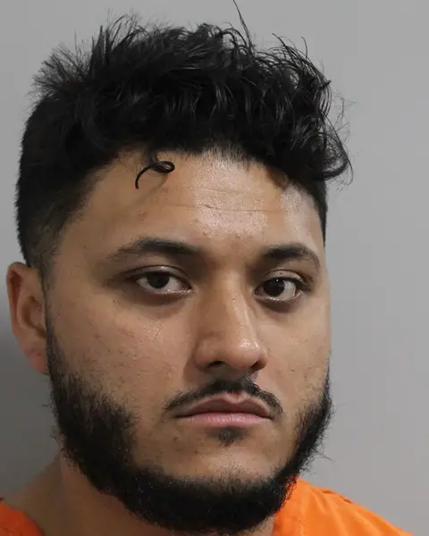 BRANDON VERAS booked for 250.00