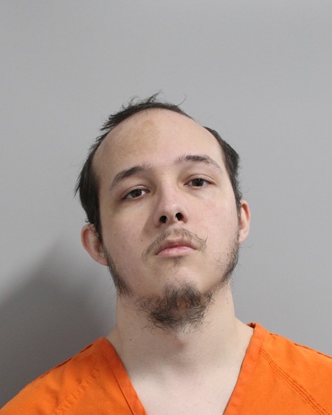 DEVIN ALEXANDER booked for 1000.00