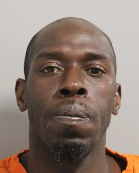 TEKEL MAILLARD booked for 250.00