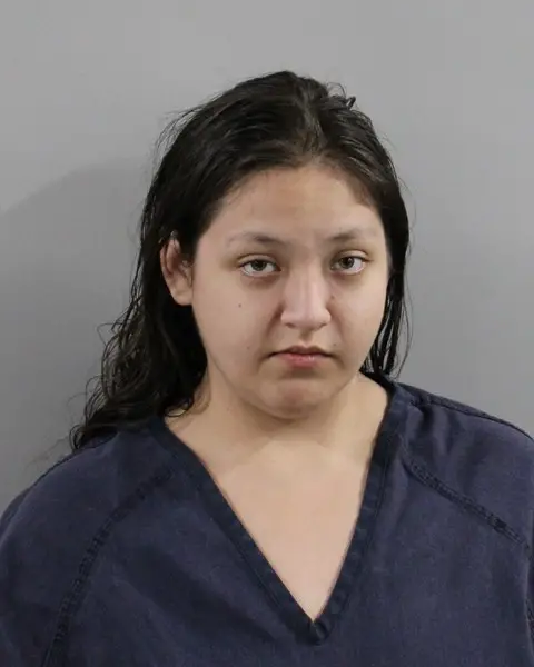 ERICA PEDROZA booked for 1000.00